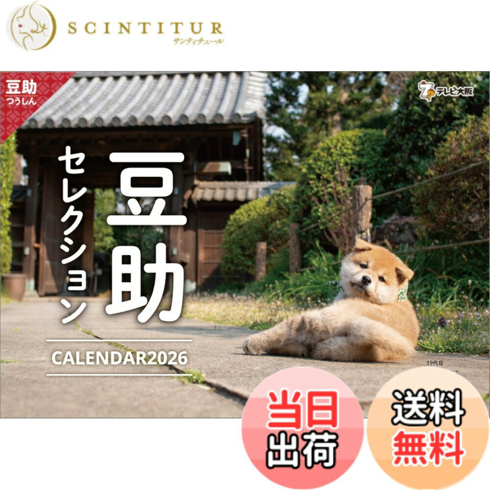 商品情報商品の説明※写真は実際の商品と異なる場合があります。 ※都合により、タイトル・価格・仕様が変更になる場合、やむを得ず発売中止になる場合があります。ご了承ください。 毎年大人気の豆助のカレンダーが今年も発売！壁掛けタイプと卓上タイプの...