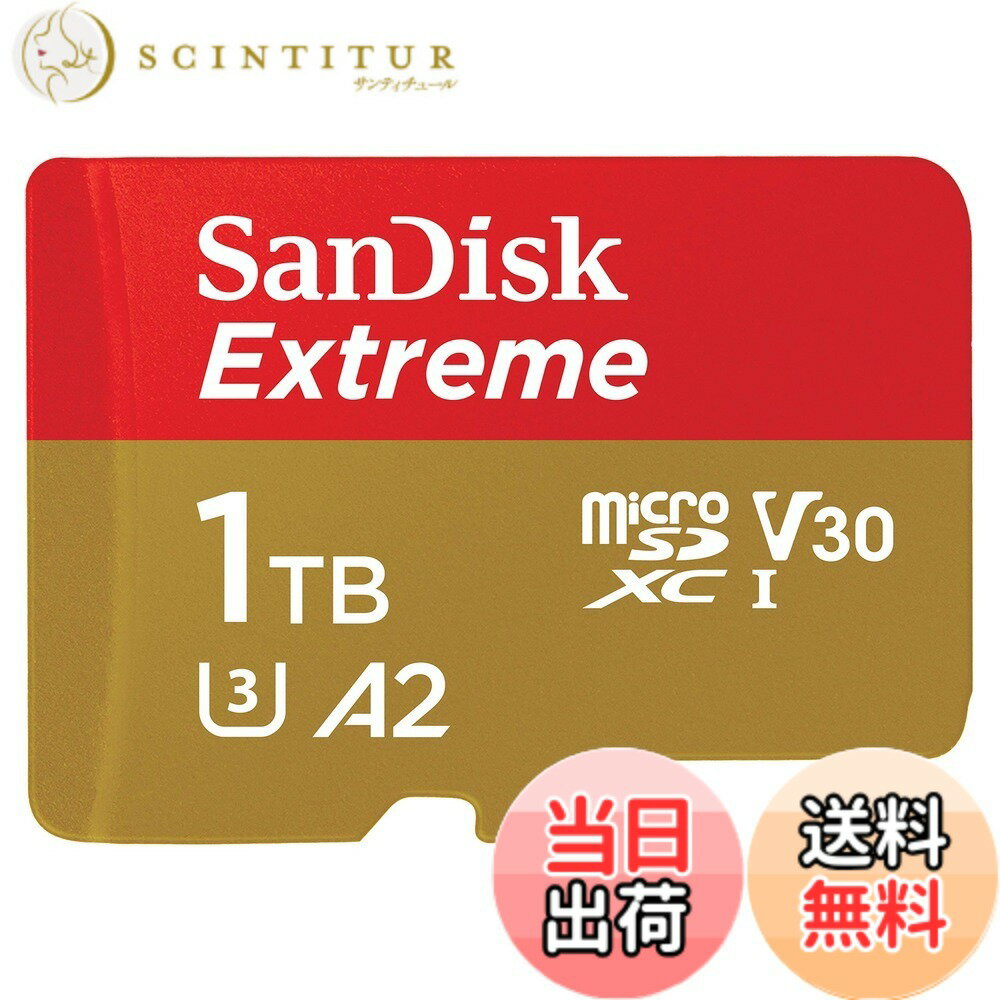 商品情報商品の説明サンディスク エクストリーム microSDXC メモリーカードは、SanDisk QuickFlow テクノロジーを搭載し、最大190MB/秒の読み出し速度を発揮してメディアからのデータ転送時間を短縮します。（別売りのS...