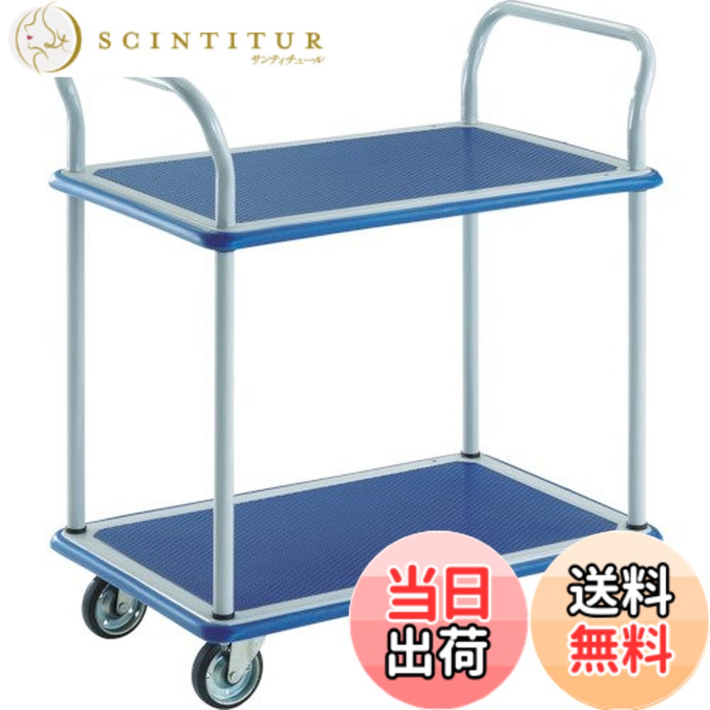 商品情報商品の説明●組立式●自在キャスター、固定キャスター各2個(ラジアルベアリング入省音キャスター)●上段均等荷重:100kg●上段高さ:735mm●下段均等荷重:200kg●下段高さ:205mm●両袖2段タイプ●ピッキング作業に適してい...