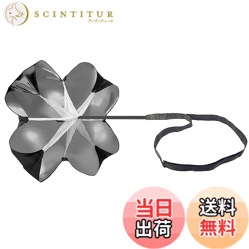 商品情報商品の説明主な仕様 【一瞬の強さを生み出す】スピード、スタミナ、強さおよび加速度を鍛える抵抗トレーニング。スポーツで筋力トレ一瞬の爆発力を生み出す！スポーツやフィットネスの爆発力トレーニングに最適です【簡単なパワートレーニング】レジ...