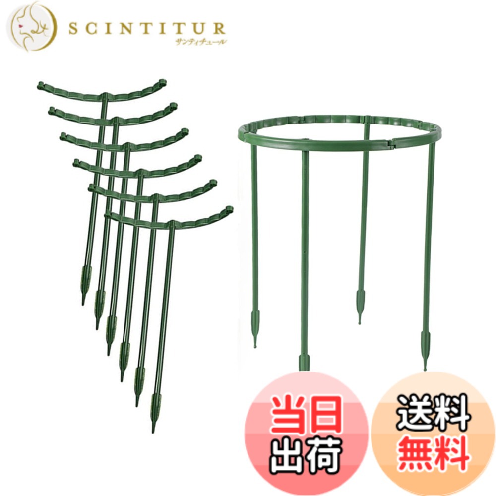 商品情報 商品の説明 園芸支柱 植物支柱 花ささえ スライド支柱 主な仕様 【製品仕様】横1本縦1本、4本が円に囲まれている。半環の幅は約14.5 cm、支柱の高さは約25 cm。10本入り。br【製品の設計】土に刺しやすいように底が尖いと...