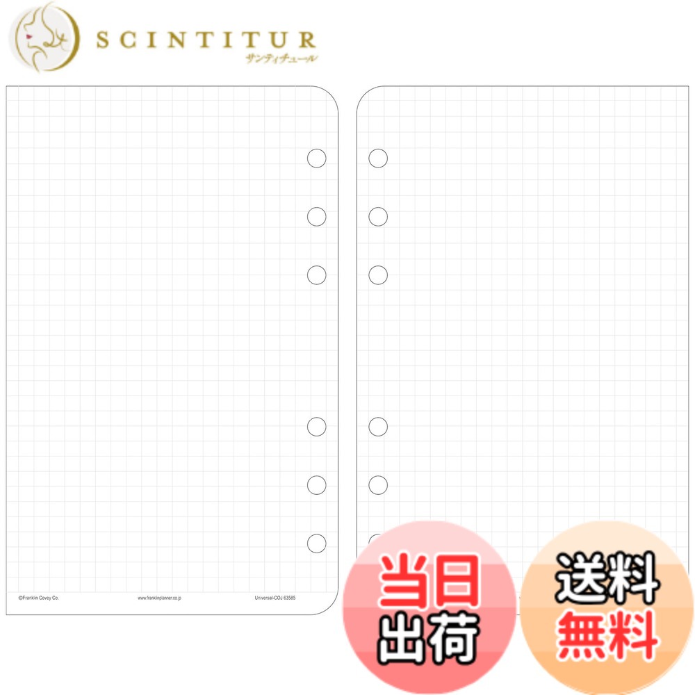 商品情報商品の説明5mm方眼のメモ用紙。グラフの作成時やアイデアのまとめ、 作図など様々な用途にお使いいただけます。 ポケットサイズ：H153mmxW89mm　6穴　フランクリン独自規格の穴間隔となります。フランクリンのポケットサイズバイン...
