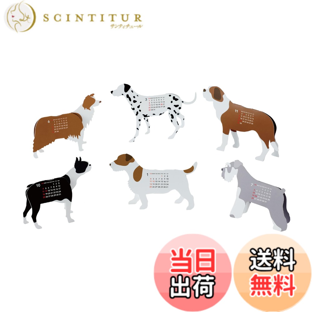 商品情報商品の説明Dogs は、のりやハサミなどを使わずに、簡単に組み立てることができるペーパークラフトカレンダーです。6枚のシートがセットされており、パーツを取り外して組み立てると、犬のかたちをした2カ月表記のカレンダーになります。主な仕...