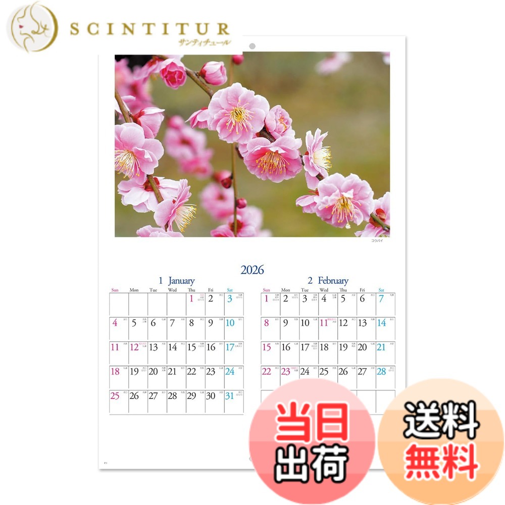商品情報商品の説明主な仕様 2026年(令和8年)・花の彩り〈ブックレットカレンダー・中綴じ製本〉使用時のサイズ：A3サイズ(420x297mm)用紙・製本：マットコート紙・中綴じ製本