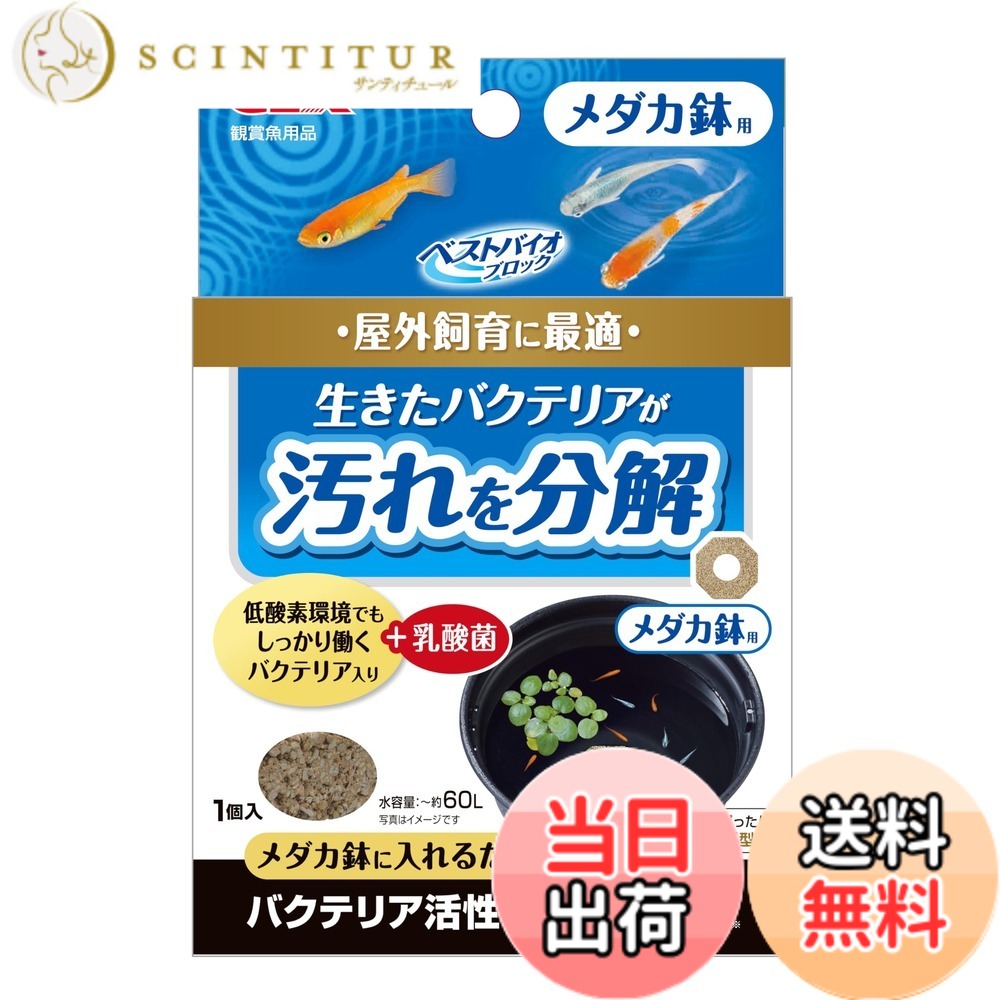 商品情報商品の説明商品紹介 白濁りや水質への影響を無くすため、本製品を別容器に入れて、約12時間を目安に水に浸してからご使用ください。 使用量の目安を参考に、メダカケースに沈めてご使用ください。使用量が多いほど分解効果は高くなりますが、多く...
