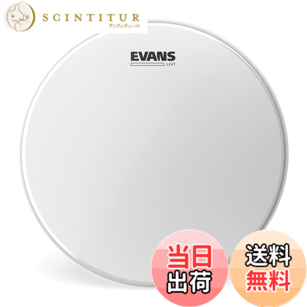 商品情報商品の説明商品紹介 ■EVANS UV1 UV1 は長い年月の研究と実験、開発の成果です。 多様性と耐久性を飛躍的に高めることを目的としてデザインされ、D’Addario 最新のイノベーションを盛り込んだこのドラムヘッドは、パテント...