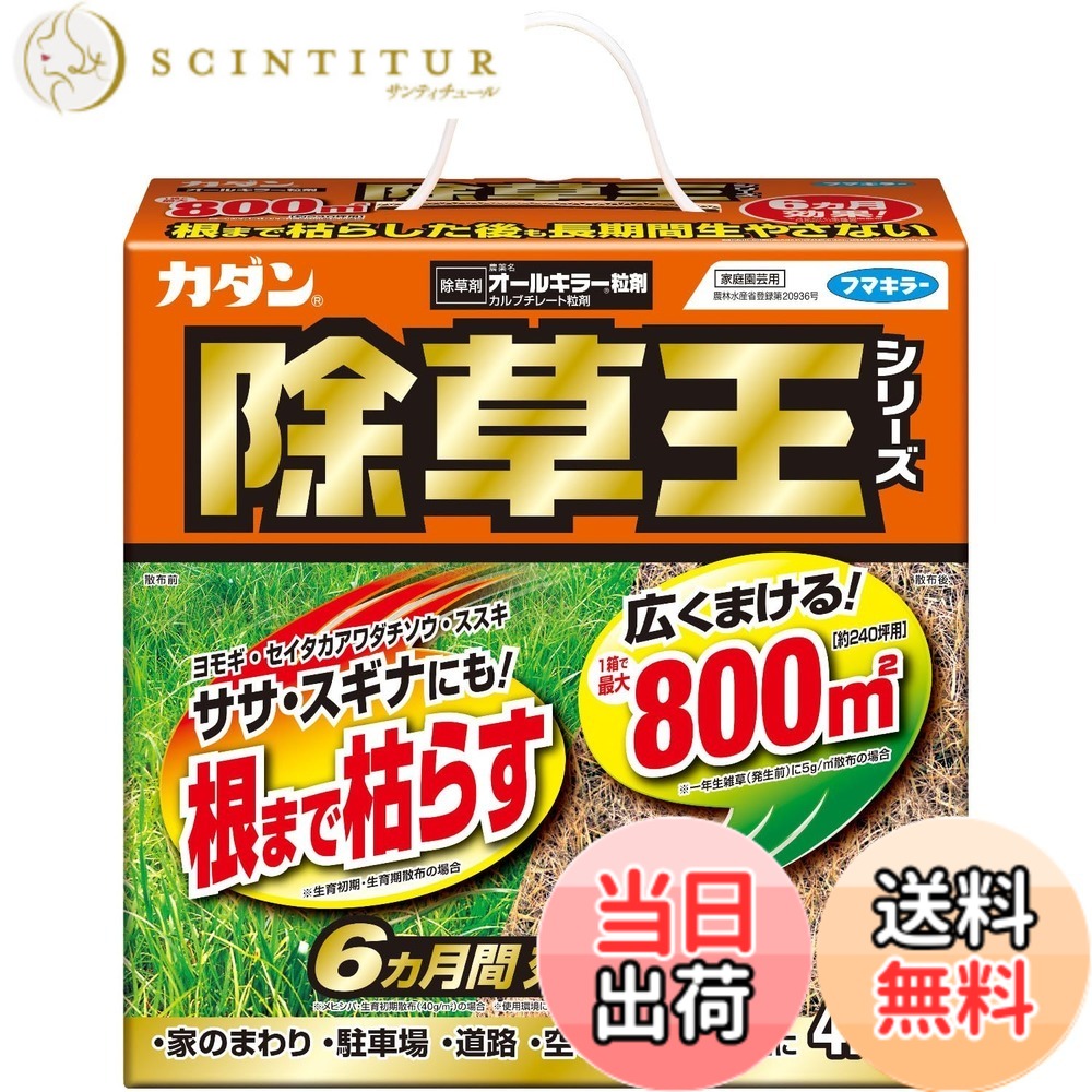 商品情報商品の説明商品紹介 - 使用方法 使用方法：...（具体使用方法根据品描述推断）主な仕様 粒剤除草剤