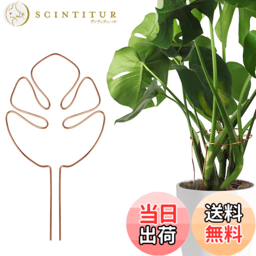 商品情報商品の説明主な仕様 【商品の仕樣】高さ：28cm 幅さ：15cm（約50cm植物対応する） 裹サイズ：31cm*15cm*2cm 重さ：70gbr【高品質素材】このプラントサポートポールは、曲げ可能なアルミニウム合金製で、曲げ角度を...