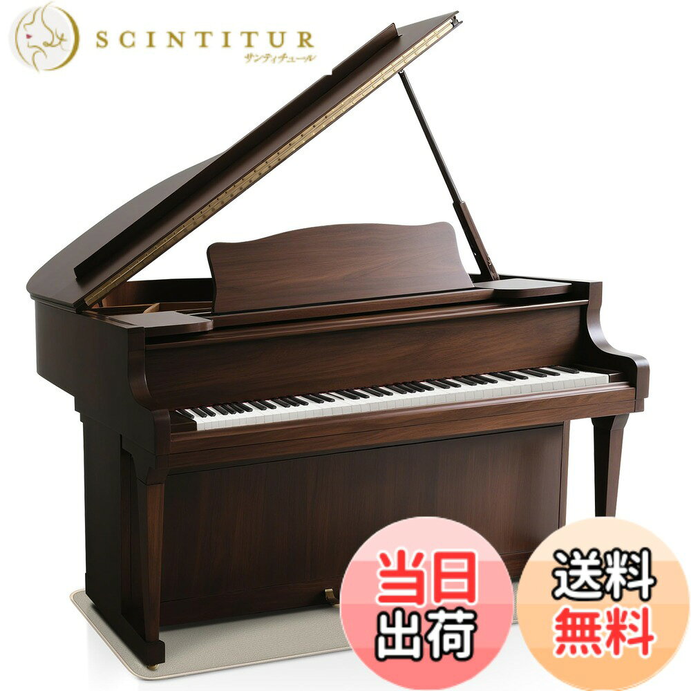 商品情報商品の説明主な仕様 サイズ：幅160x奥行55x厚み0.5cm。耐久性を高めるために厚い織物で作られています。ドラムマット耐摩耗性と防汚性、糸くずが出ない、ボールが出ない。電子ピアノ専用の防音マットです。電子ピアノを設置する床面に敷...