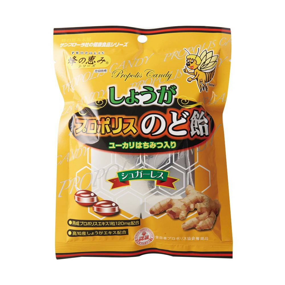 ※通常土日祝日を除く1週間以内に出荷の予定ですが欠品やメーカー終了の可能性もあり、その場合は別途メールにてご連絡いたしますプロポリス＆生養が入ったのど飴です。マイルドな辛さに仕上げました。商品区分健康食品サイズ個装サイズ：40×30×15c...