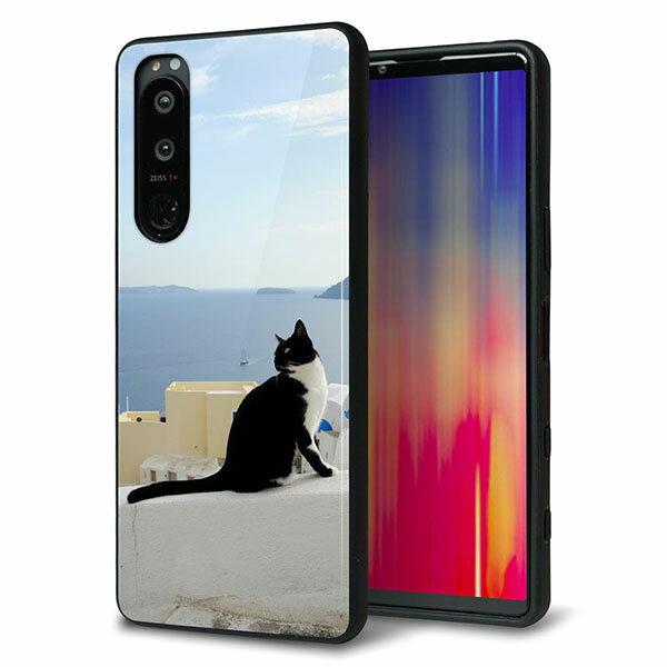 ★商品説明 ・背面のガラスにデザインをしたケースになります。 ・ガラス、ケースには機種ごとに専用のカメラ穴が開いております。 ・ガラスを取り付けるケースは側面がTPU、ガラスの接着面がPC(ポリカーボネート)になります。 ※ケースの形状は予...