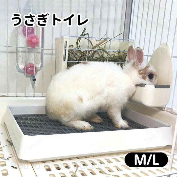 メーカー希望小売価格はメーカーカタログに基づいて掲載していますうさぎ トイレ 大きい スノコ 飼育ケージに内装 四角形 メッシュスノコ付き チンチラ ウサギ フラットトイレ ウサギ用品 トレー トイレトレーニングに最適 おしゃれ 段差低い ...