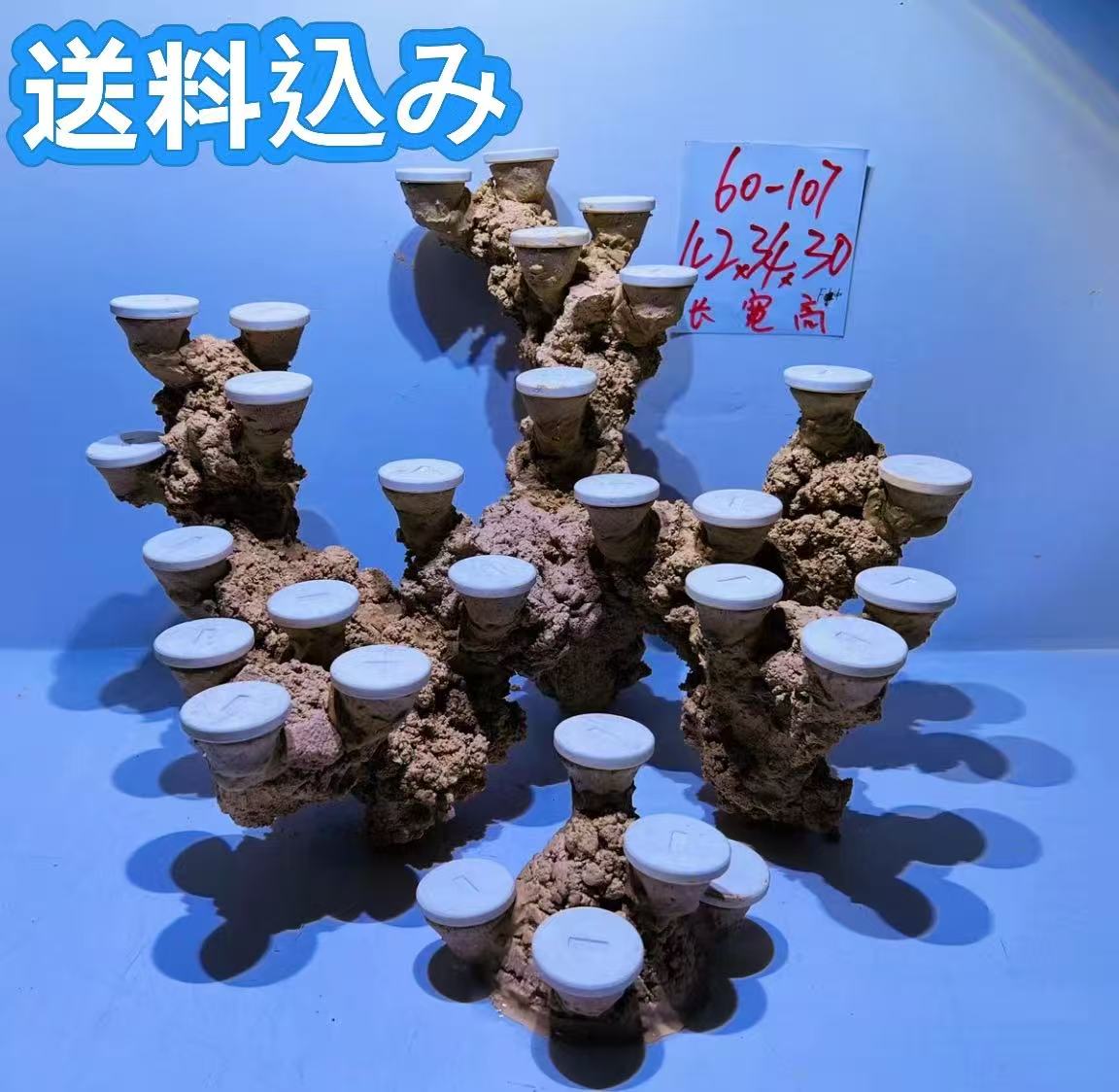 トラブル防止のため必ず最後までお読みください。 《商品概要》 大きさ：横42cm 高さ30cm 奥行34cm 60cm-98cmの水槽がおすすめです こちらの商品は、随所にサンゴを配置する箇所を施しておりまして、水通りも良く通常のライブロッ...