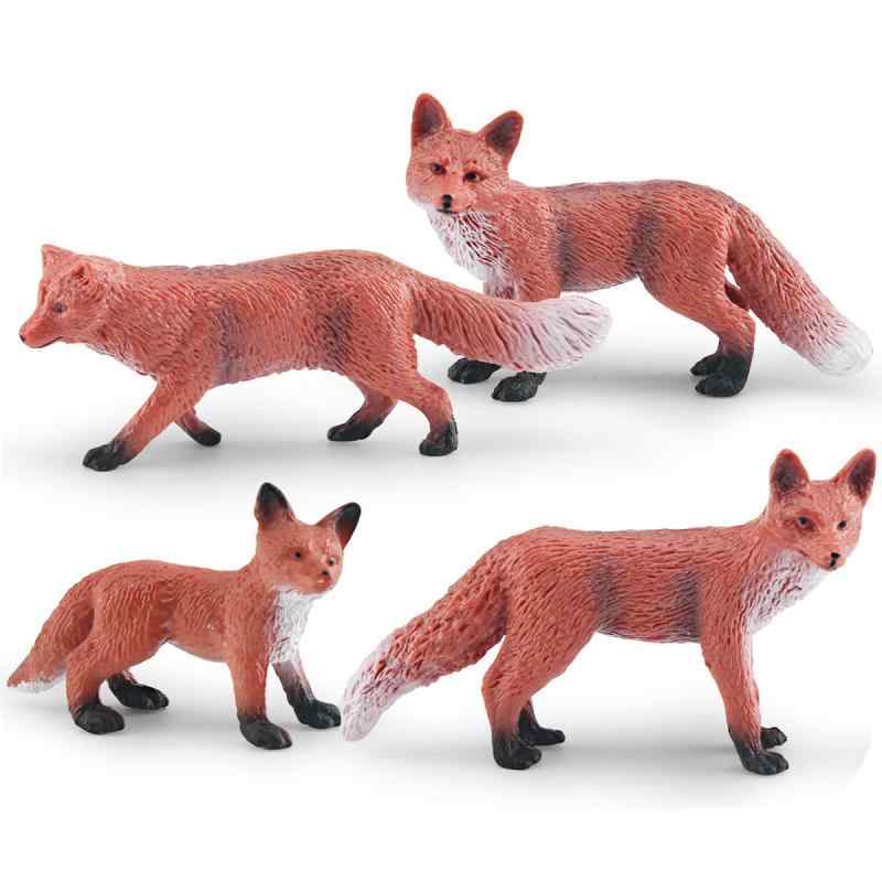 ・素材: プラスチック・モデルカテゴリ: 動物、植物・対象年齢: 7～14歳