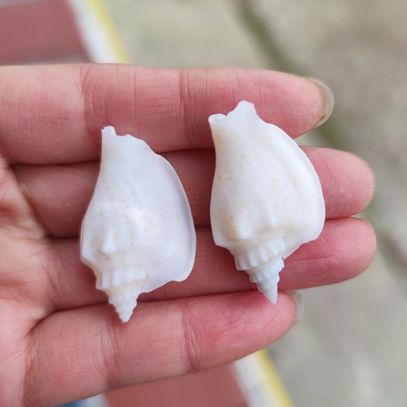 ・カラー: 白オノガイ2-4CM、白フェニックスガイ3-4CM・主な素材: 巻貝・スタイル: 地中海・加工: 純天然