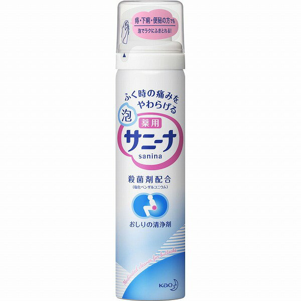 ※ご注意ください！！ご注文いただいてからのお取り寄せとなります。 ●商品の改訂により商品のデザイン、パッケージに記載されている内容と異なる場合があります。 【商品の特徴】おしりをふく時の痛みをやわらげ、スッキリ清潔に保つ薬用清浄剤です。やさ...