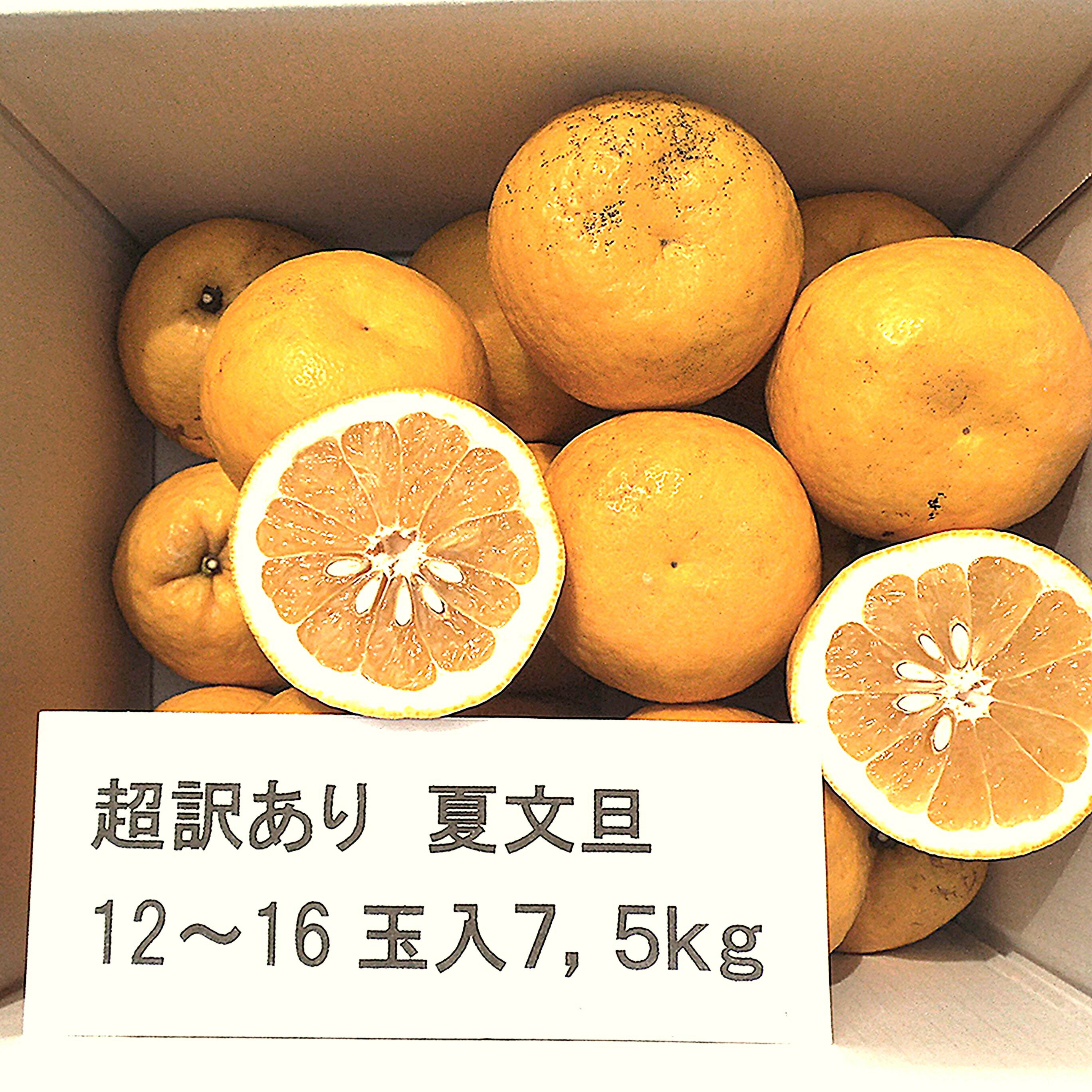 高知産　夏文旦　約7，5Kg　12～16玉入り　家庭用　冷蔵庫保管　果汁多めです。高知産の果汁多めの夏文旦です。家庭用につき、傷汚れがあります。