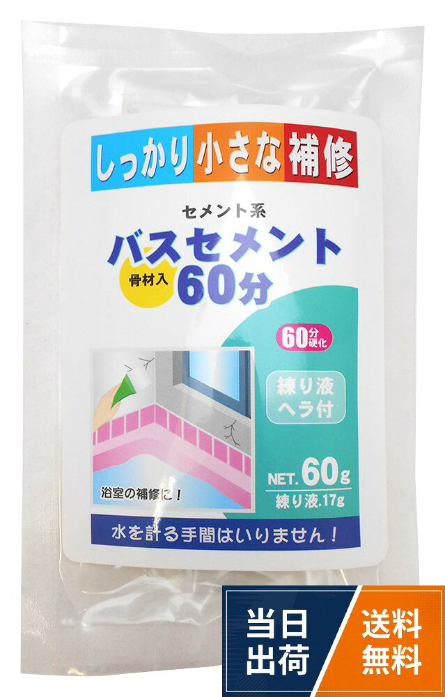 家庭化学工業セメント系バスセメント60分骨材入60g