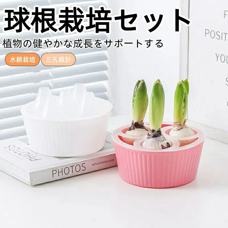 【水位管理機能】 この水耕栽培プランターは内蔵の視覚的水位計を搭載しており、正確な水量調整を可能にします。根の過剰な浸水を防止し、植物が理想的な成長環境で健全に育つことをサポートします。忙しいガーデナーの方でもメンテナンス手間を軽減でき、水...