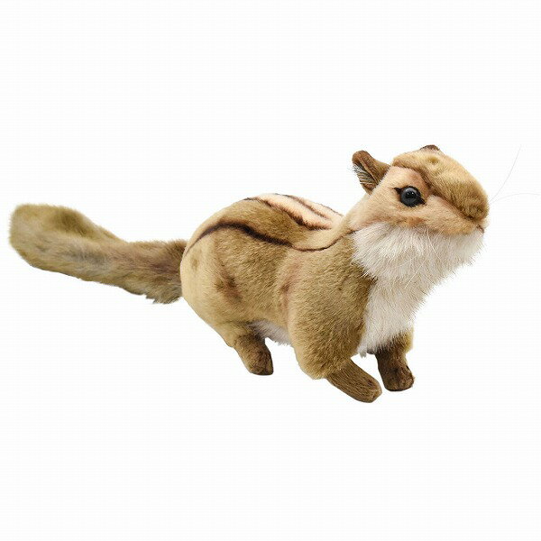 つぶらな瞳が可愛らしいHANSAの人気者、シマリスのぬいぐるみです。 実物よりも大きめでしっかりとした存在感と抱き心地。 尾の長さ:16cm ■サイズ(cm) W8cm × H12cm × D19cm お届けまでに1週間程度かかる場合があり...