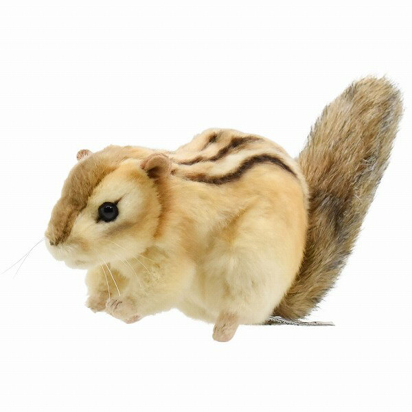 HANSAでも人気のシマリスのぬいぐるみに新しい仲間が登場しました。 顔立ちや体つきがよりリアルに表現されています。 是非一度真上から見て、そのリスらしいフォルムの愛らしさを感じてください。 サイズ(cm) W9cm × H10cm × D...