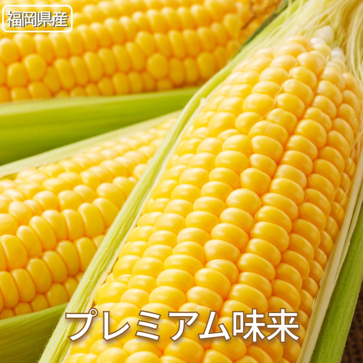 商品詳細 名称 福岡産 プレミアム味来（スイートコーン） 産地名 福岡産 内容量 12~15本 等級・サイズ 秀品 配送方法 冷蔵便 保存方法 要冷蔵