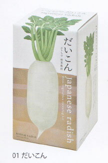 根菜栽培の楽しさは土の中で無事に育っている様子が見えないドキドキ感。 種から育てた野菜を引き抜いて、収穫の喜びを！ パッケージサイズ/w10.3cm H018.8cm セット内容/容器、土、種　