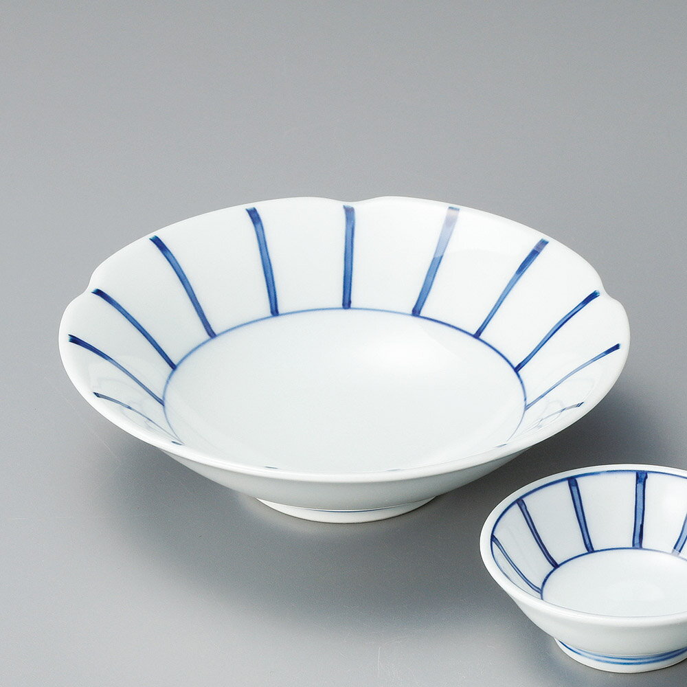 15.9×4.5※サイズはセンチ　