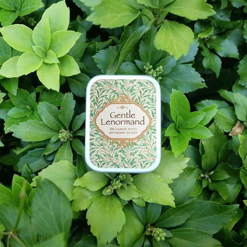 Gentle Lenormand（ジェントルルノルマン） ｜ OTOM ｜ カード36枚 日本語キーワード一覧紙付き 【正規品】内容：カード36種、日本語キーワード一覧紙付きパッケージサイズ：H68×W52×D18[mm]カードサイズ：H6...