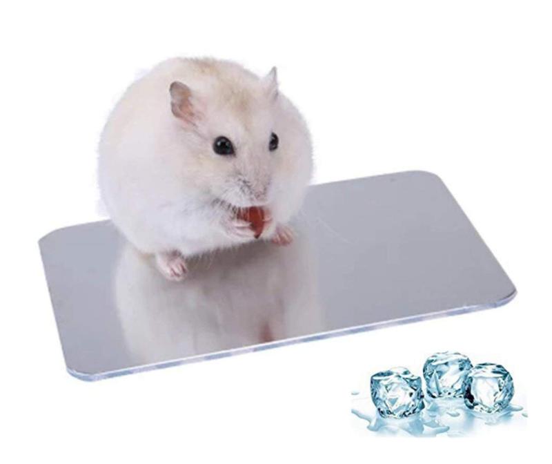 ハムスター 涼感プレート (L120×W80mm) ひんやりプレート アルミクールマット クールパッド 冷却マット 涼しい 夏用 ウサギ/モルモット/ハムスター小動物夏用品 熱中症防止 暑さ対策 ケージアサイズ：L120×W80mm。適用動...