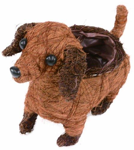 大橋新治商店 動物型プランター アニマルバスケット 犬 ブラウン