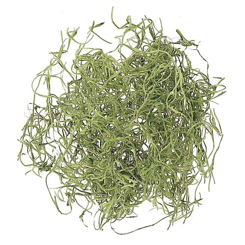 大地農園 スパニッシュモス・小袋