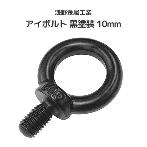 ASANO アイボルト(鍛造:ミリねじ) 黒塗装(マットブラック) 10mm 壁面・床面・柱などに設置し、チェーン・ワイヤ・ロープの端末金具としてお使いいただけます。 表面カラーは全てつや消し（アクリル焼付塗装）のブラック仕様で、目立たない...