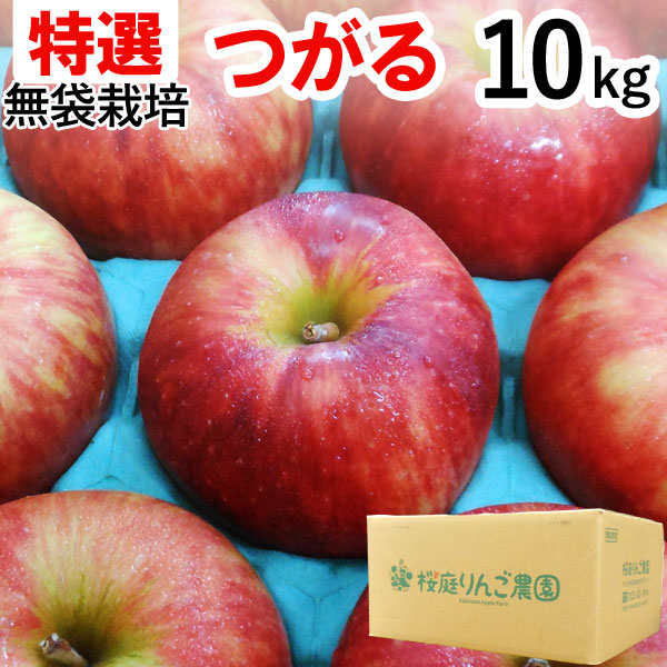 直送品のため、以下の点にご注意ください。りんごについて配送には充分注意しておりますが、ひどい破損がありましたら到着2日以内にご連絡ください。無袋・完熟しておりますので、品質保持の為届いたら必ず冷蔵保存（10度以下）をお願いいたします。お支払...