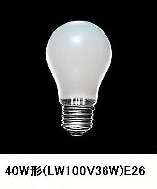 ■シリカ電球40W-100V 【メーカー】専業メーカー