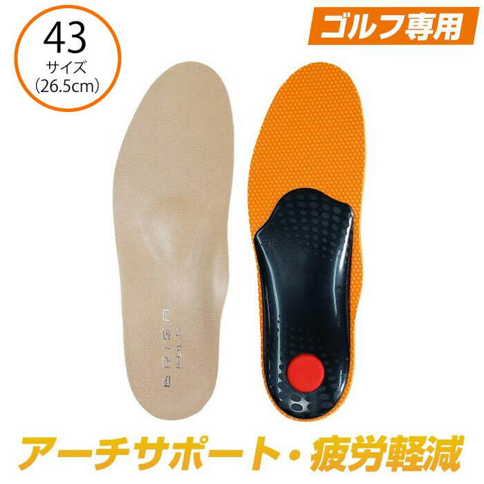 ■一般発売：2025年6月30日（月）予定 【商品名】 フォームサポートインソール 【原産国】 ドイツ 【サイズ】 36(23.5cm) 37(24.0cm) 38(24.5cm) 39(レディース25.0cm / メンズ24.5cm) 4...