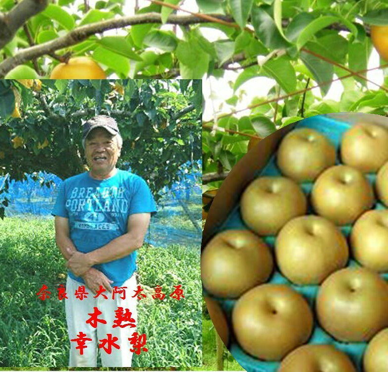この商品は 奈良県吉野郡大淀町　大阿太高原　向出　安樹　作　木熟幸水梨 ポイント関西最古参の梨産地！！従来の梨とは違う木熟の味をお届けいたします。濃厚な甘みと木熟ならではの果汁！!幸水梨本来の甘みを引き出しました。 向出農園は関西で一番最初...