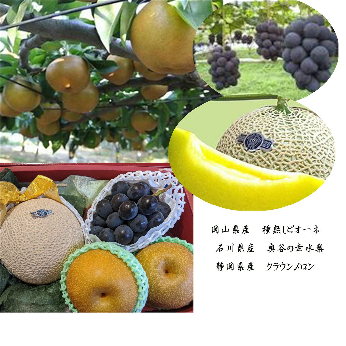この商品は 石川県奥谷梨出荷組合「加賀の梨　奥谷の幸水梨」・岡山県産　種無しピオーネ・静岡県産クラウンメロン　※幸水梨　2玉（2L以上）・種無しピオーネ　1房（500g以上）・メロン1玉（1.2〜1.5kg） ポイント奥谷の梨は？〇糖度セン...