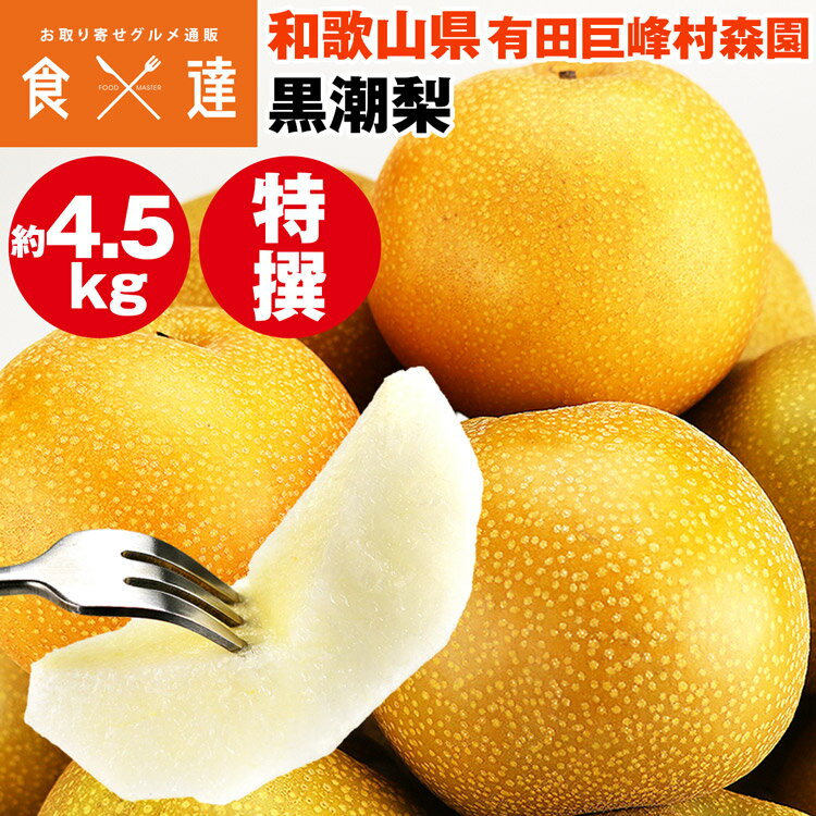 ＜商品説明＞ 森園、直売所で大人気。 毎年早期完売になるため、 ネットショップでは長らく取り扱いのなかった幻の梨が待望の商品化です！ 収穫量が増え、全国の皆様にお届けできることになりました。 黒潮梨は酸味が少なく、高糖度。 かじると強い甘み...