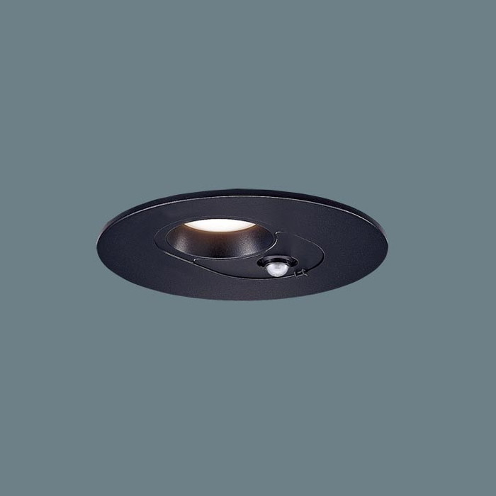 【仕様】●メーカー：パナソニック/Panasonic●型番：LRDC1201LLE1●JANコード：4549980419557●ダウンライト●白熱球60W相当●電球色●2700K●埋込穴Φ150mm●埋込必要高80mm●防雨型【ご注意】※寿...