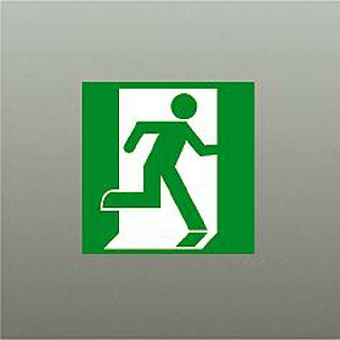 【仕様】●メーカー：大光電機/ダイコー/DAIKO●型番：DP36864E●JANコード：4955620829219●避難口誘導灯 表示パネル●C級 10形