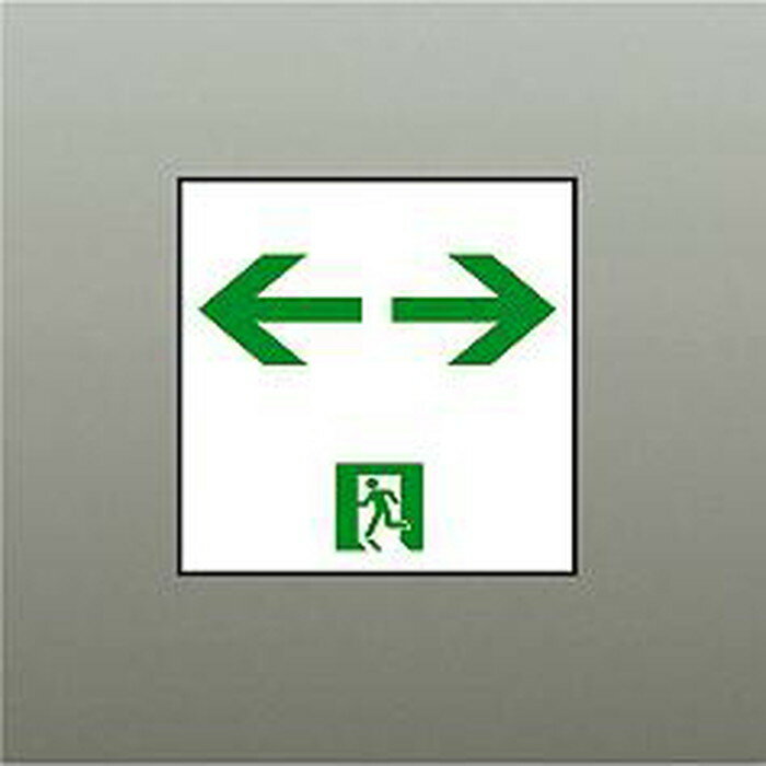 【仕様】●メーカー：大光電機/ダイコー/DAIKO●型番：DP36867E●JANコード：4955620829240●室内通路誘導灯 表示パネル●C級 10形