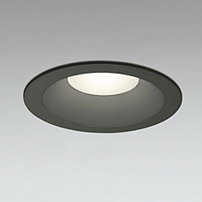 【特長】●別売りの調光器で調光可能●傾斜天井にもお使いいただけます。(55°まで ※配光は未対応です)【仕様】●メーカー名：オーデリック/ODELIC●型番：OD261246R●JANコード：4905090834398●明るさ目安：白熱灯器...