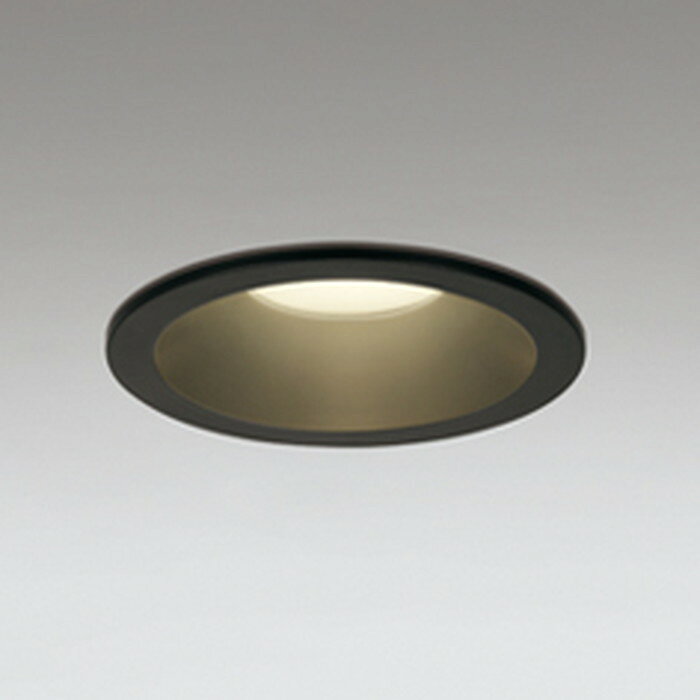 【特長】●別売りの調光器でコントロール可能。●傾斜天井にもお使いいただけます。(55°まで ※配光は未対応です)【仕様】●メーカー名：オーデリック/ODELIC●型番：OD261911R●JANコード：4905090834060●明るさ目安...