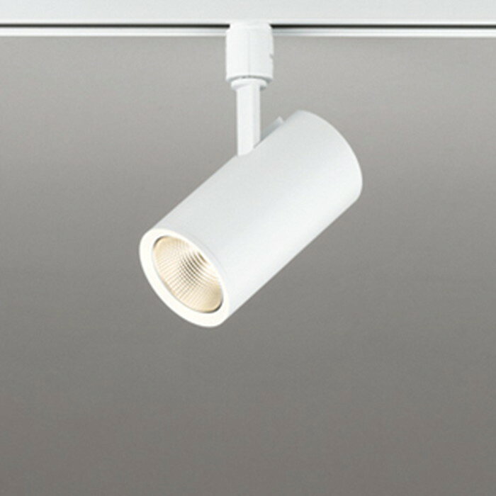 【特長】●光を高度に制御する専用設計のレンズと反射板を採用。●別売りの適合調光器と組み合わせて、調光可能。【仕様】●メーカー：オーデリック/ODELIC●型番：OS256436R●JANコード：4905090888322●取付方法：プラグタ...