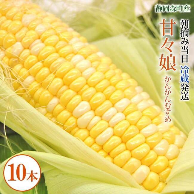 ご自宅用 商品内容 静岡・森町産 とうもろこし「甘々娘（かんかんむすめ）」10本 発送時期 6月2日(火)/6月9日(火)/6月16日(火)に入荷予定 入荷・ご発送の日は、こちらの日程に限らせていただきます。採れたての新鮮なお品をお手配させ...
