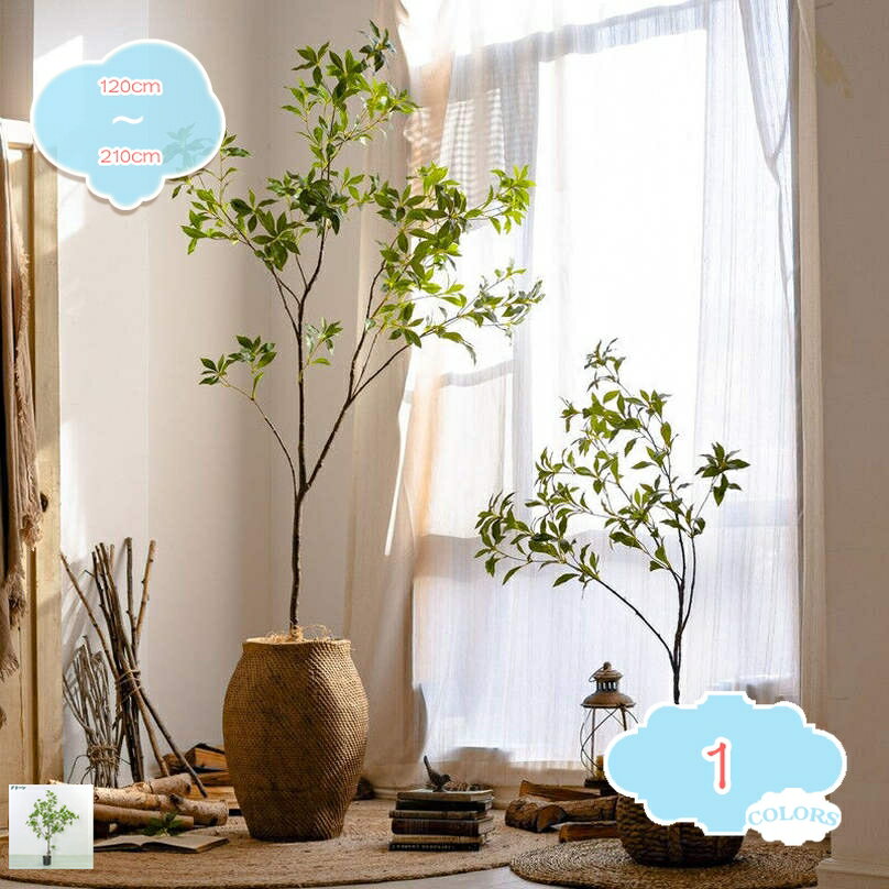 メイン素材：PE【仕様】人工観葉植物はPE材質を採用して、光沢感を持ち、柔らかい手触りで、本物の生き生きする姿を再現します。パステルカラーをベースに、自然にフレッシュで本物の葉にとても近い色に見えます。光沢感を持ち、柔らかい手触りで、本物観...