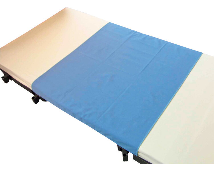 商品の仕様●サイズ／幅145×長さ90cm●材質／表：ポリエステル100％、裏：耐熱ポリウレタンラミネート●生産国／日本●洗濯機可●脱水機可●乾燥機可（130℃）●制菌加工、吸水加工、防水加工、SEKマーク（制菌加工（橙））●ケース入数/1...