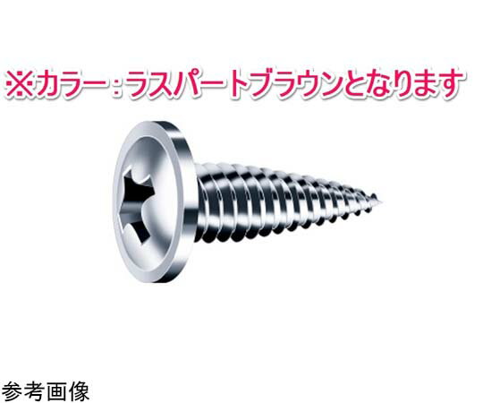 ●二条ねじのねじ山がとがり先端部まできっちりと形成され、施工時にはドリルの働きをするねじです。その形状が竜巻を連想させることから、トルネードポイントとネーミングされたねじです。●建築板金、金属建築工事などで0.4mm〜1.00mmの薄鉄板同...