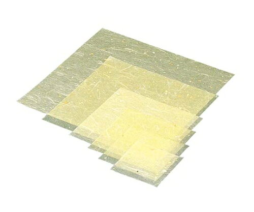 ●外寸（mm）：100×100●500枚入り